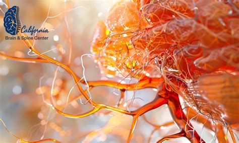 California Brain And Spine Center Autonomic Nervous System Disorders California Brain And Spine