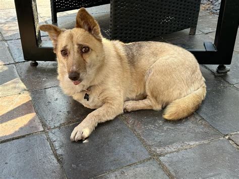 About 1 — Freedom Angels Romania