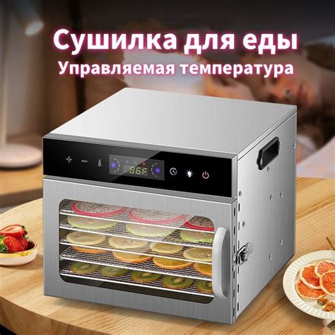 Сушилка для фруктов и овощей и грибов 6 слоев купить на Ozon по низкой цене 1937998552