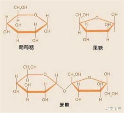 葡萄糖浆和果葡糖浆是一个东西吗？ 知乎
