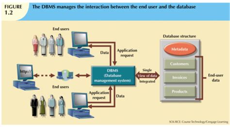 Database Management Final Exam Flashcards Quizlet