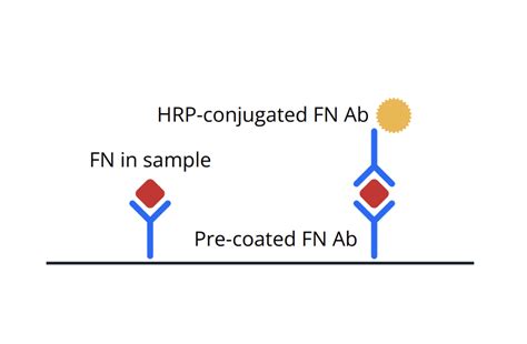 Automated Elisa Automation With Opentrons Labworks