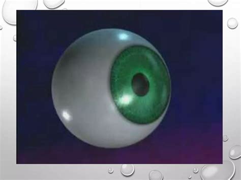 Ophthalmic Viscoelastic Devices Pptx Eye And Vision Conditions Diseases And Conditions