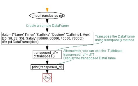 Transposing Dataframe Pandas Data Manipulation