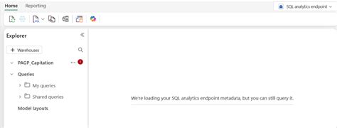 Solved Error With Sql Analytics Endpoint After Adding A S