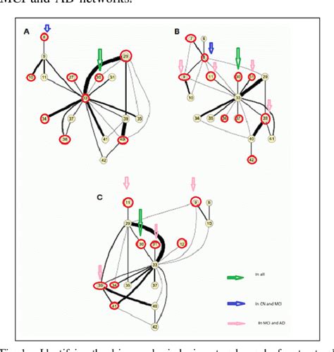 Figure 1 From Structural Target Controllability Of Brain Networks In