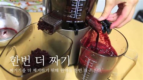 아로니아블랙초크베리 원액 만들기 구입문의 속리산정농원