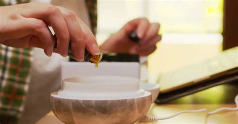 The 10 Best Fragrance Oils For Diffusers Best Home Aroma