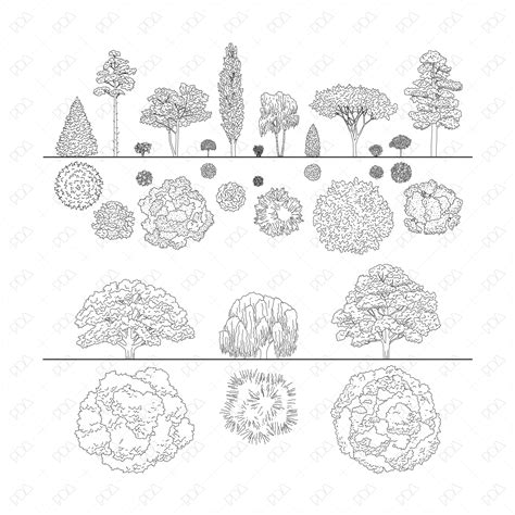 How To Draw A Tree Using Autocad