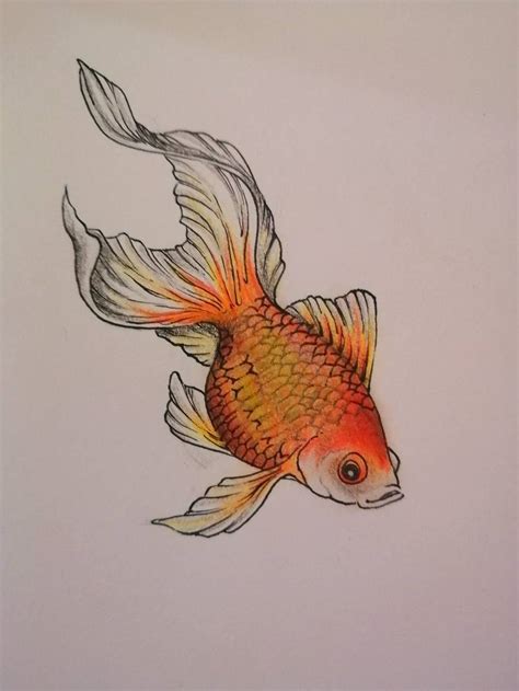 How To Draw A Fish • Inspiration · Sketch A Day