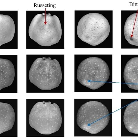 Pdf Detection Of Surface And Subsurface Defects Of Apples Using Structured Illumination