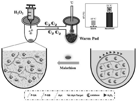 Temperature Type Biosensor And Method For Detecting Target Aptamer By Using Temperature Type