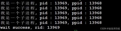 Linux系统 —— 进程控制系列 进程的等待：wait 与 Waitpid Csdn博客