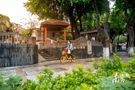 珠海小巷换新颜铺就幸福路 改造 居民 背街