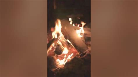 ასეთია ქურდი კაცის ბედი ️ ️ ️ Youtube