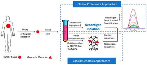 Host Cell Protein Analysis Complete Omics Inc