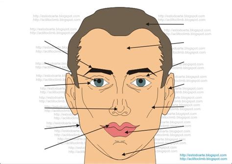 Es Todo Arte Parts Of The Face