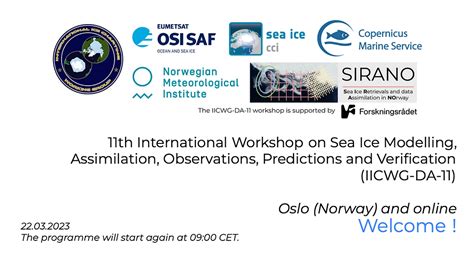 11th International Workshop On Sea Ice Topics