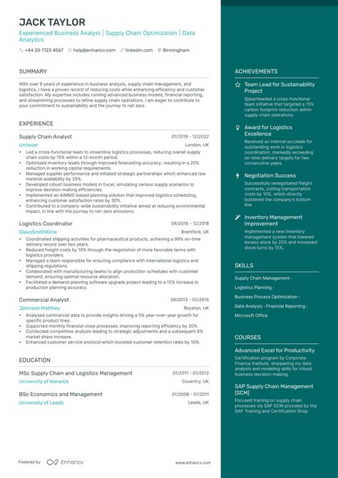 Business Analyst CV Examples Guide For