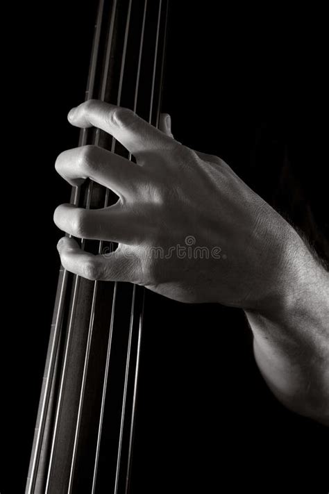 Upright Bass Stock Image Image Of Side Light Hand 19063021