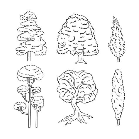 Premium Vector Hand Drawn Trees Outline Illustration
