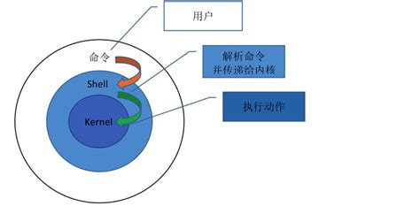 Shell简介 Infoq 写作平台