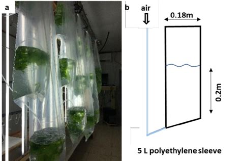 A The Indoor Mpbr Cultivation System During An Experiment The Download Scientific Diagram