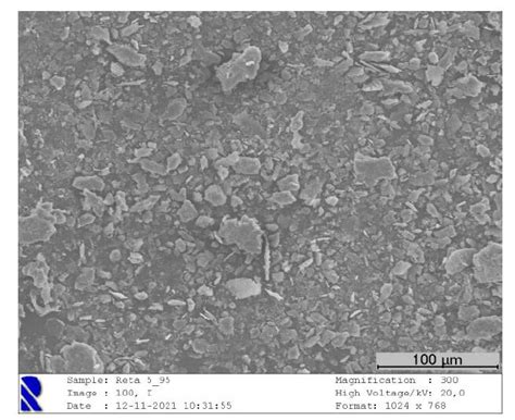 Sem Image For 05 95 Mixture Sample 300x Download Scientific Diagram