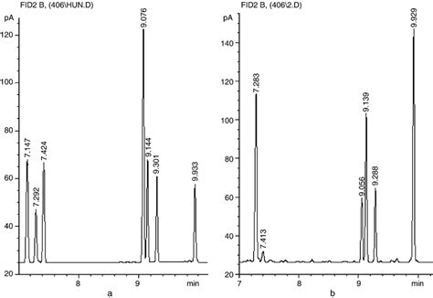 What Causes Longer Retention Time In Gas Chromatography At Joel Morton Blog