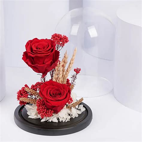 Dual Red Forever Roses In Dome Delivery In Singapore Fnp Sg