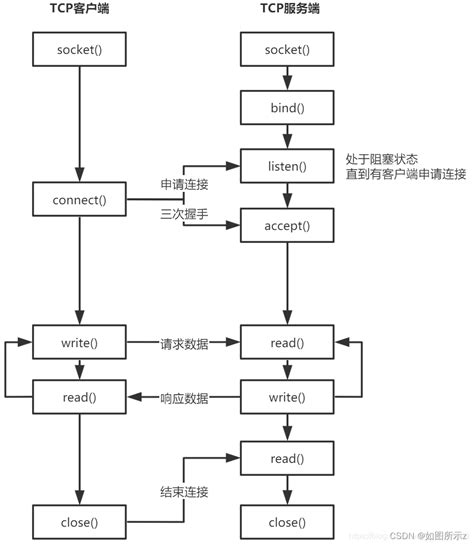 软考 套接字(scoket)软考 套接字 Csdn博客 软考 套接字(scoket)软考 套接字 Csdn博客