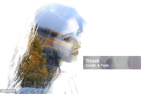 나뭇가지와 나뭇잎을 통해 젊은 아름 다운 여자의 이중 노출 여자의 초상화는 신비한 슬픈 눈 창조 예술 개념적 그림을 보세요 흰색 배경에 고립 개념에 대한 스톡 사진 및 기타