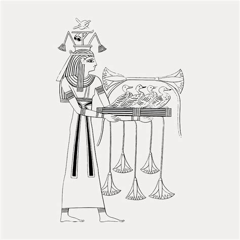 Ramse Images Free Photos Png Stickers Wallpapers And Backgrounds