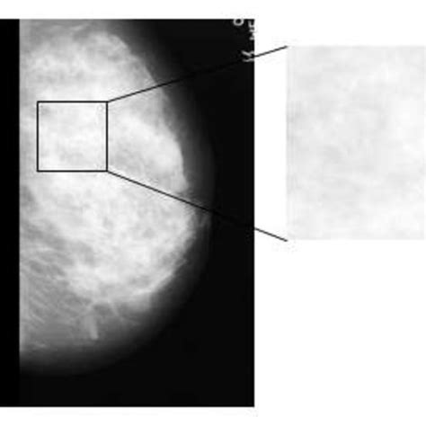 Experimental Work Flow Diagram Download Scientific Diagram