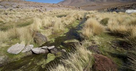 Hacemos Periodismo Infobae