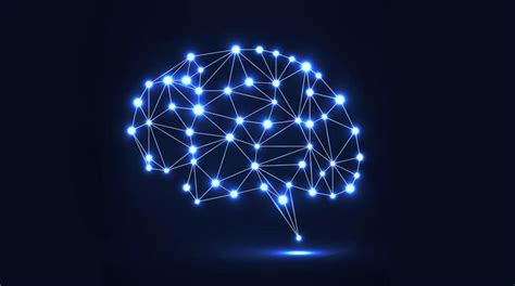 Event Related Potentials Erp