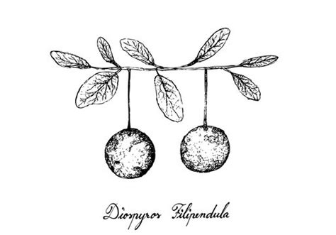 รูปภาพmabolo เลือกดูภาพถ่ายสต็อก เวกเตอร์ และวิดีโอ299 Adobe Stock