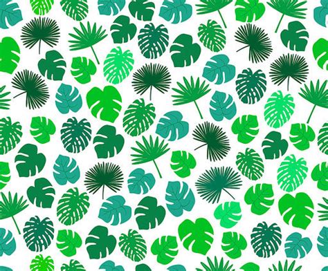 유토이미지 열대 잎 패턴 트로피칼