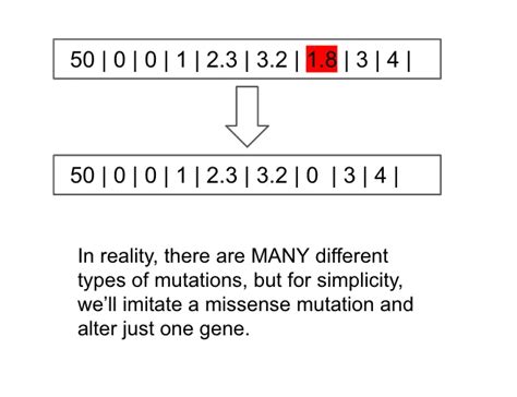 From Beaks To Bytes Genetic Algorithms In Trading Investing And Finance