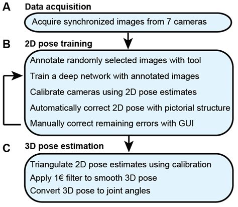 The Deepfly3d Pose Estimation Pipeline A Data Acquisition From The