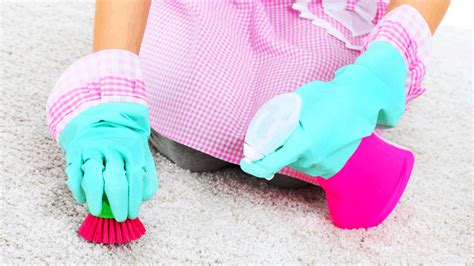 How To Remove Common Carpet Stains Rent Blog