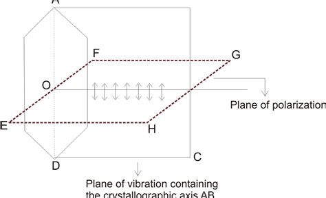 Learn Physics Through Notes And Study Material Polarization Quick Review