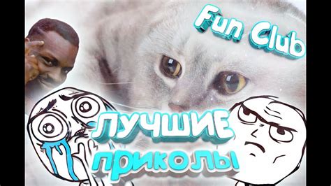 ЛУЧШИЕ ПРИКОЛЫ ЗИМЫ 2022 ПОПРОБУЙ НЕ ЗАСМЕЯТЬСЯ ПРИКОЛЫ CМЕШНЫЕ ЖИВОТНЫЕ 10 МИНУТ СМЕХА😂😂😂