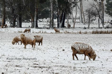 Wayne Hoppe Photography Home Facebook