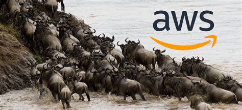 Migrate Net Applications From Windows To Linux