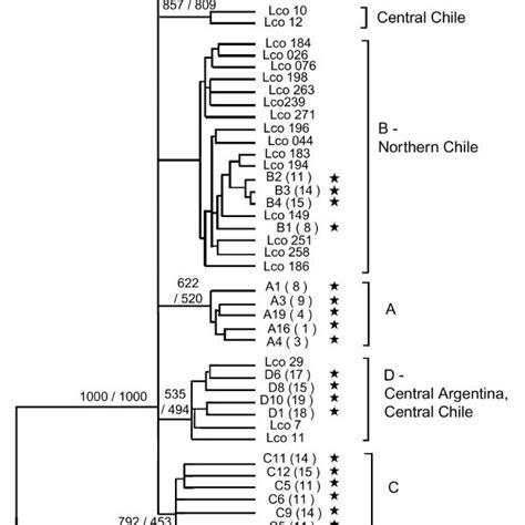 Population Structure Inferred From Microsatellite Data A Download Scientific Diagram