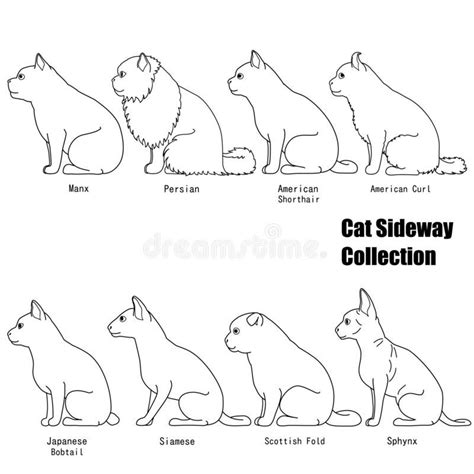 How To Draw Cat Sitting Side View
