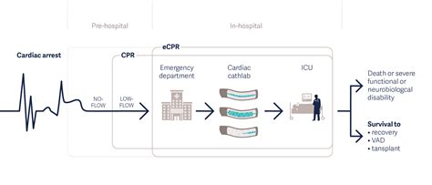 Ecpr And Cardiac Arrest Getinge