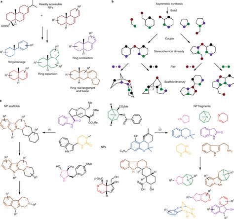 Principle And Design Of Pseudo Natural Products Nature Chemistry X Mol