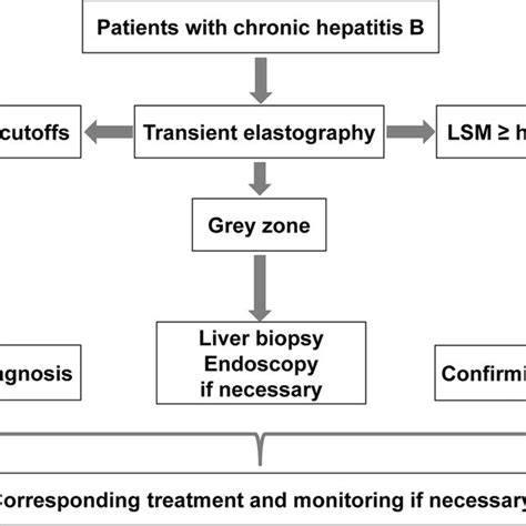 Algorithm And Schematic Diagram For The Adjuvant Application Of Liver